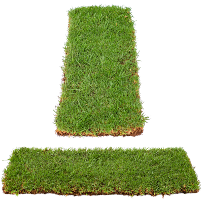 Premium Turf Suppliers Goulburn, Illawarra & More | Turfco