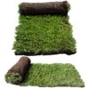 Premium Turf Suppliers Goulburn, Illawarra & More | Turfco