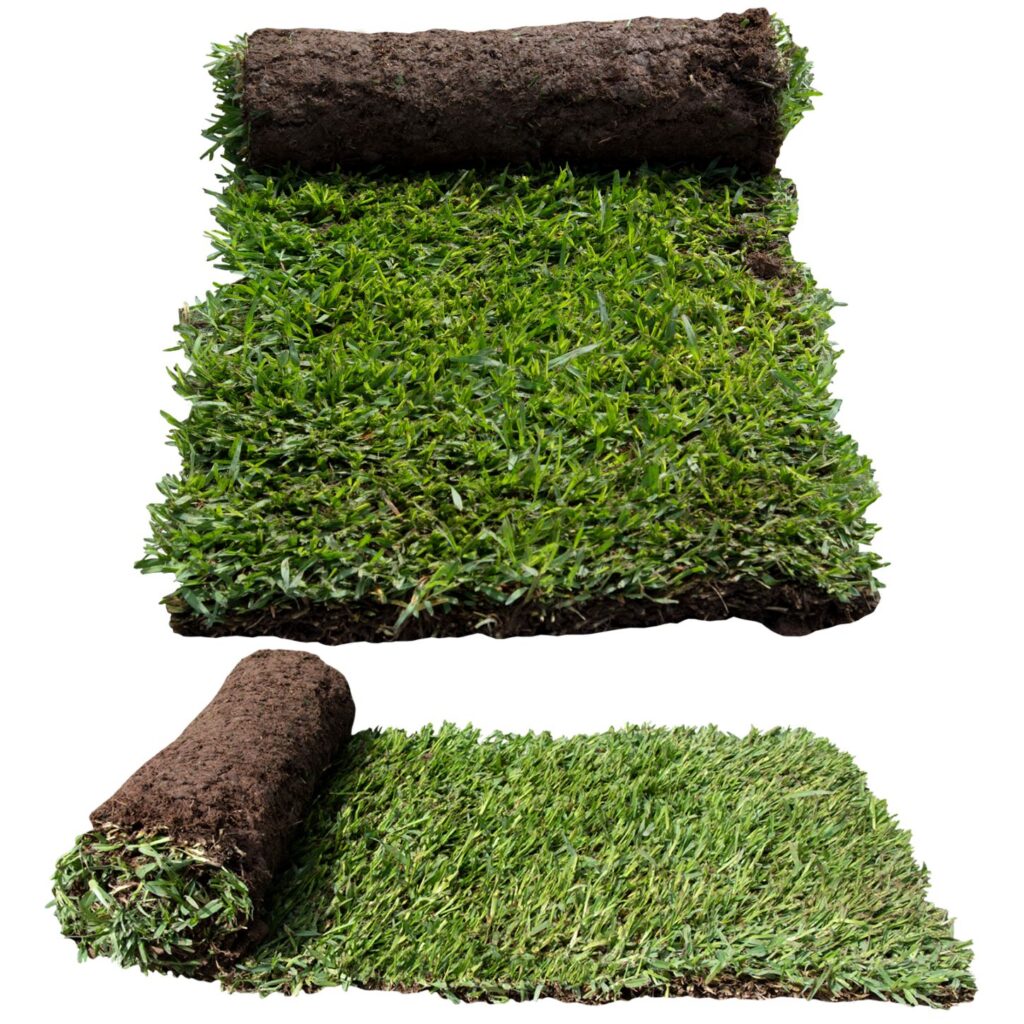 Premium Turf Suppliers Goulburn, Illawarra & More | Turfco
