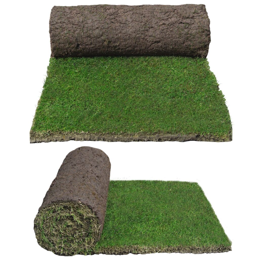 Premium Turf Suppliers Goulburn, Illawarra & More | Turfco