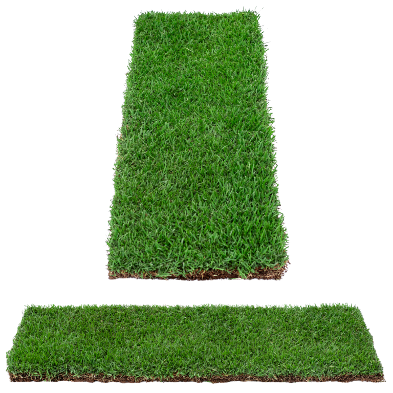 Premium Turf Suppliers Goulburn, Illawarra & More | Turfco