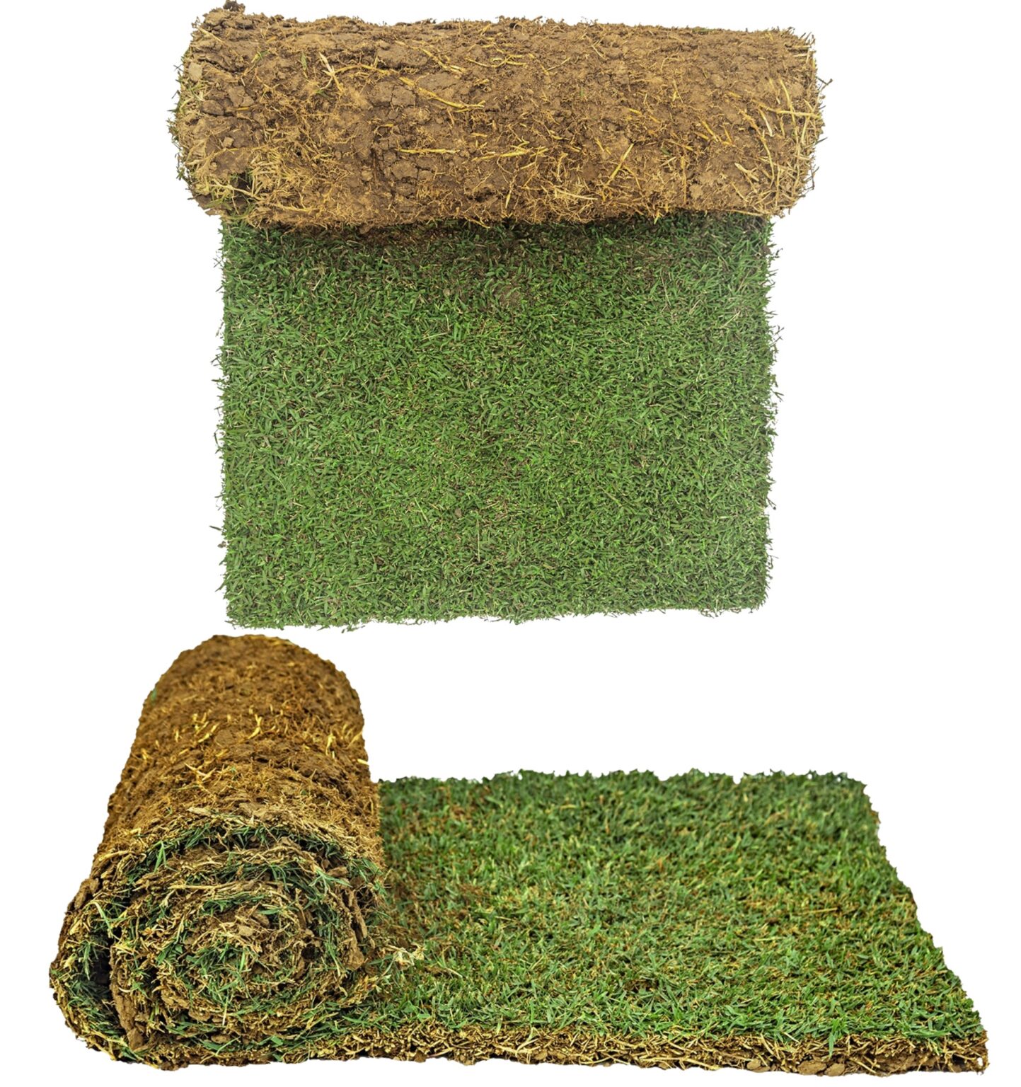 Premium Turf Suppliers Goulburn, Illawarra & More | Turfco