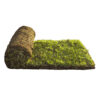 Premium Turf Suppliers Goulburn, Illawarra & More | Turfco