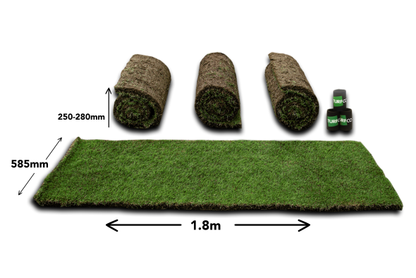 Turf Pick Up - Turfco