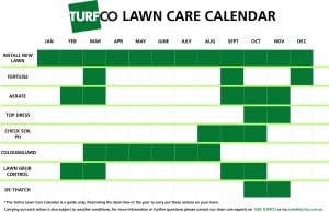 Turf FAQs | Everything You Need To Know Before Ordering Turf