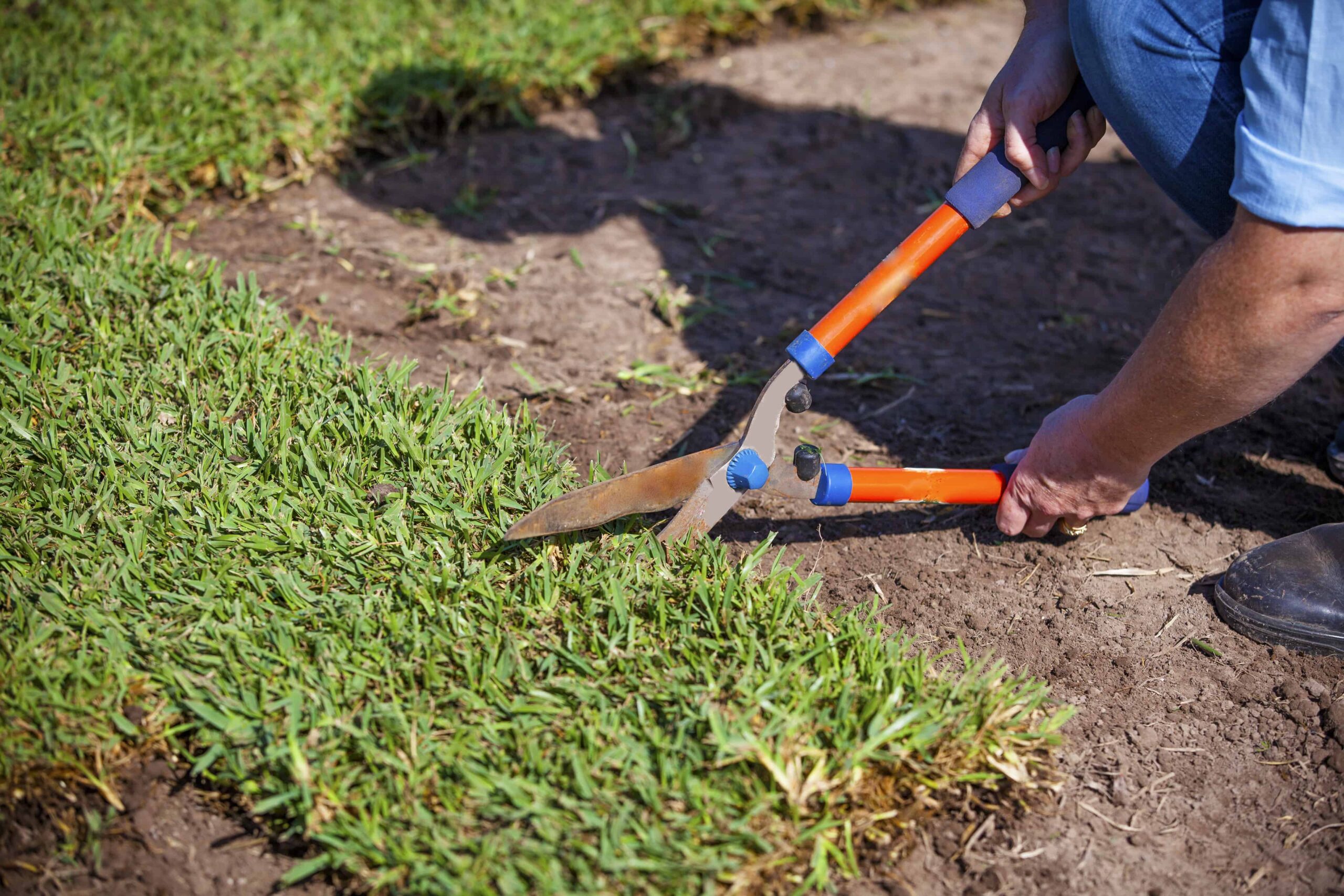 Should You Roll Your New Lawn After Installation? Turfco