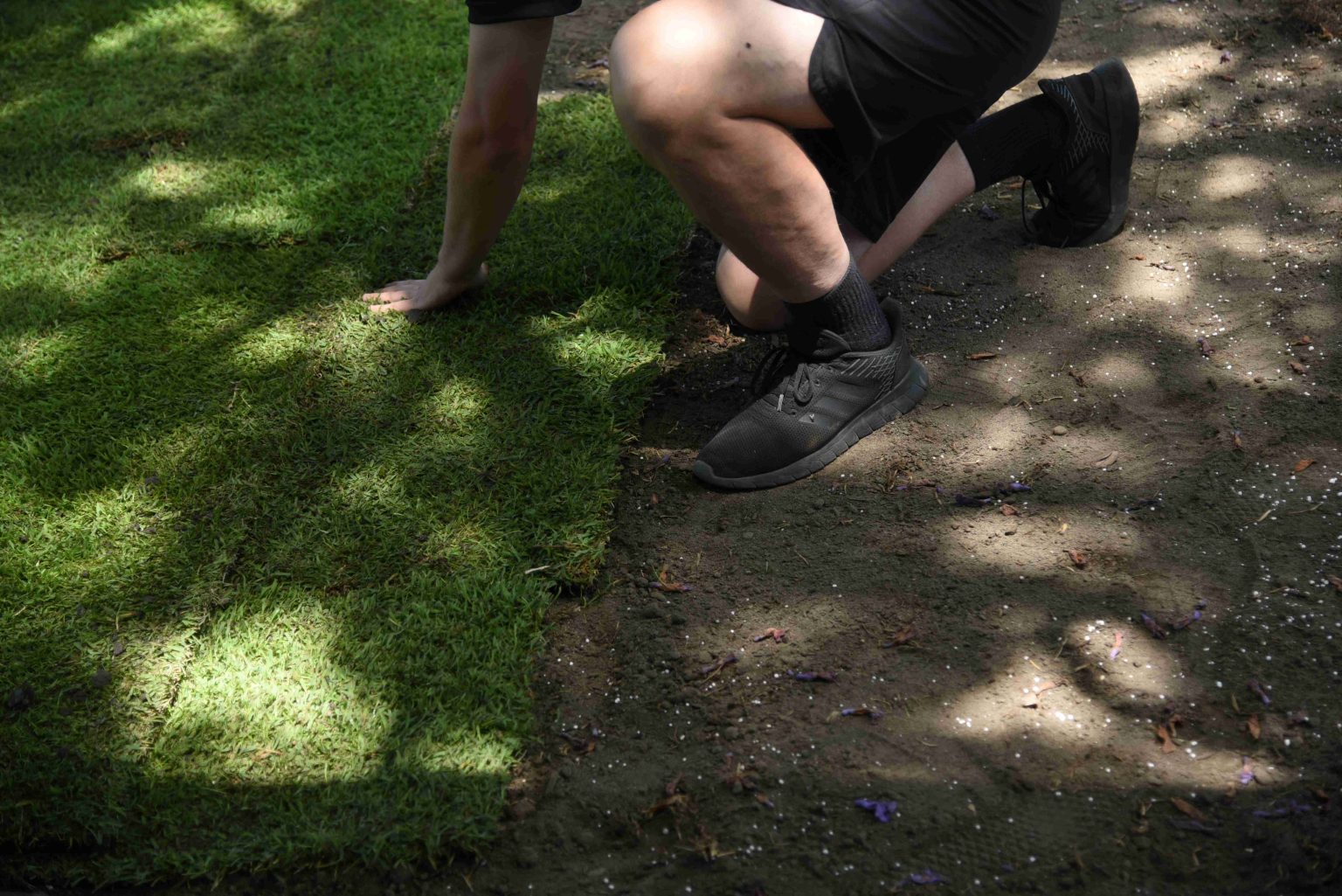 Laying Turf | How To Lay Turf In 5 Easy Steps | Turfco
