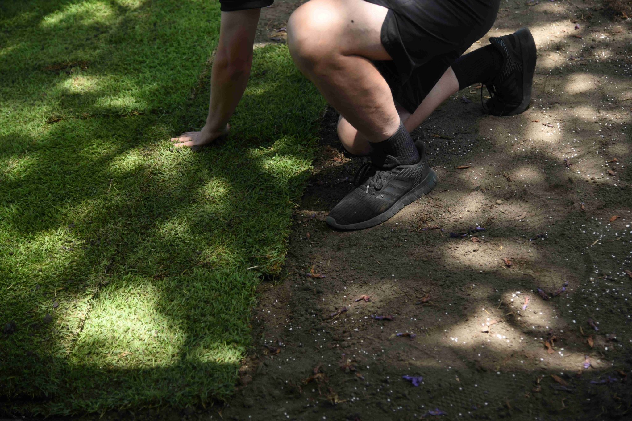Laying Turf | How To Lay Turf In 5 Easy Steps | Turfco