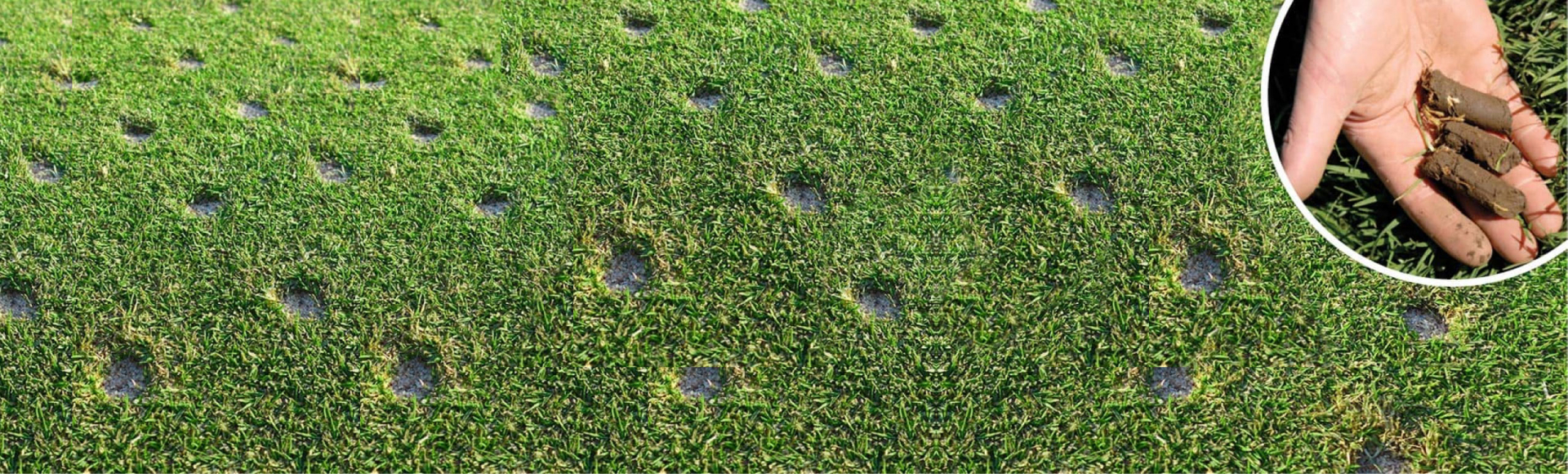 Should You Core Your Lawn? - Turfco