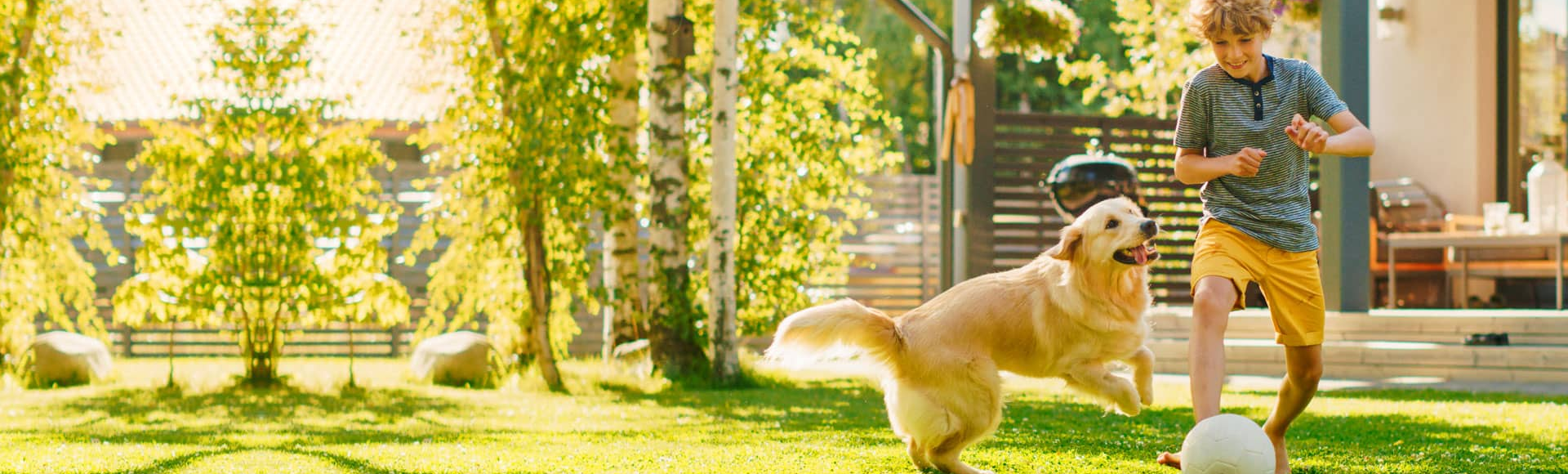 Your Guide To A Good Looking Lawn This Summer - Turfco