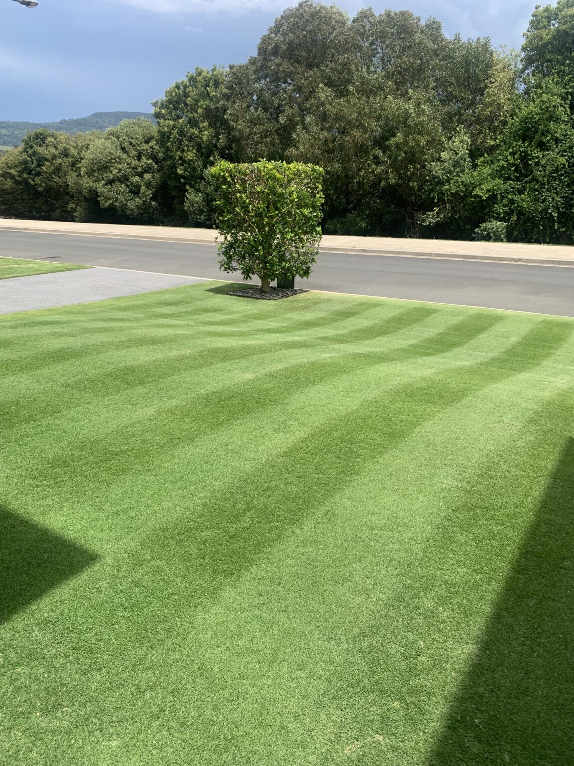 Real Stories from Happy Turfco Customers