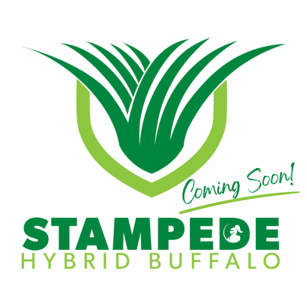 Premium Turf Suppliers Goulburn, Illawarra & More | Turfco